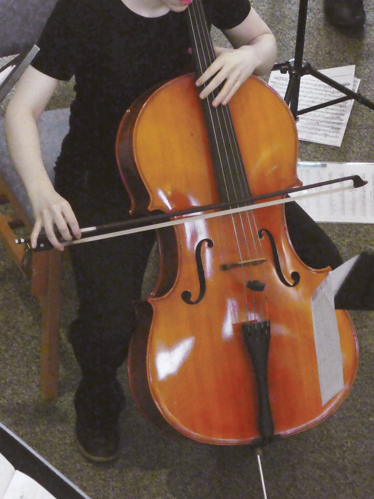 Section 12 - Bowed Strings and Harp / 2026 MUSIC Categories ...