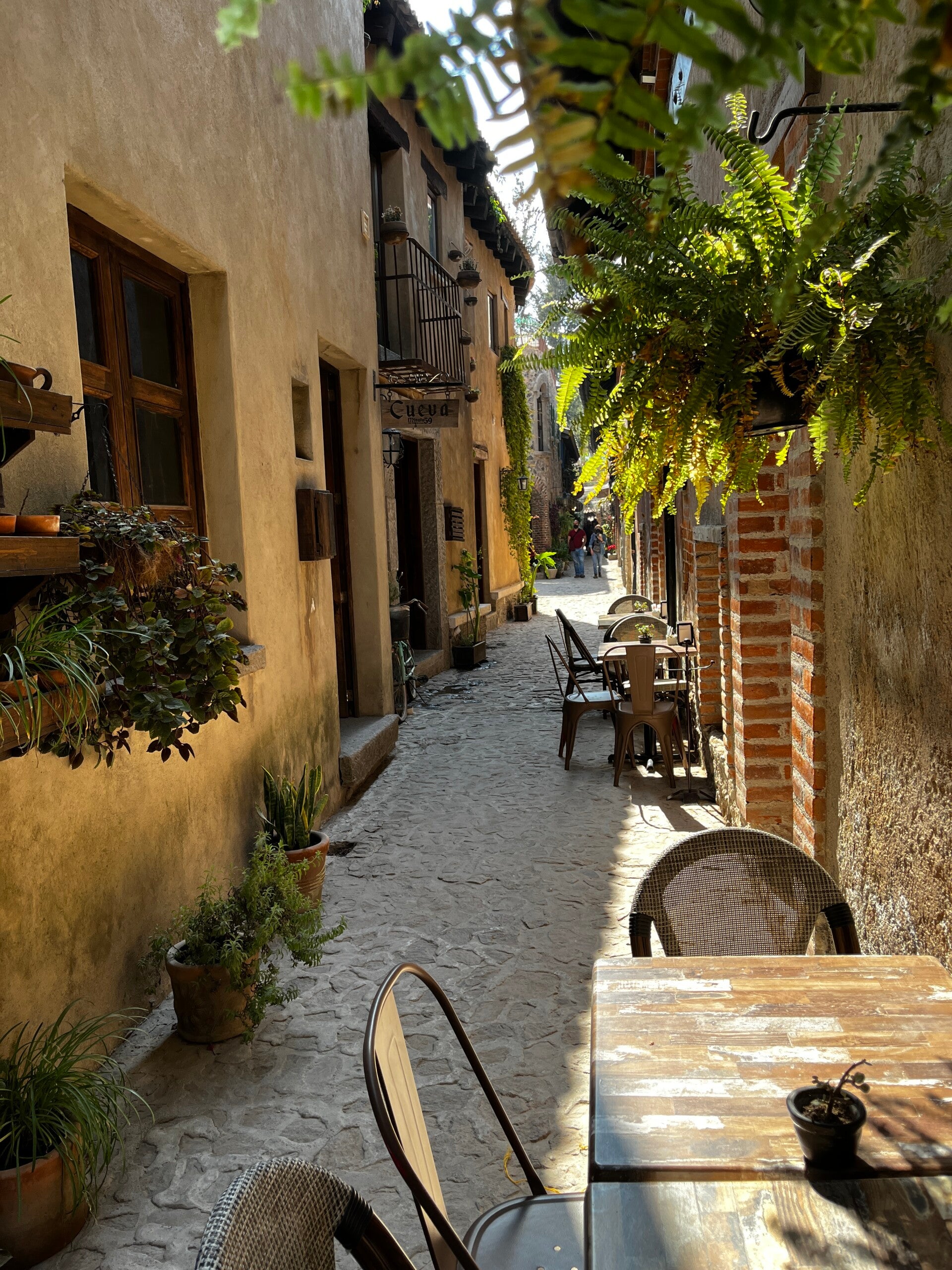 Val'quirico - Auguri Val'quirico