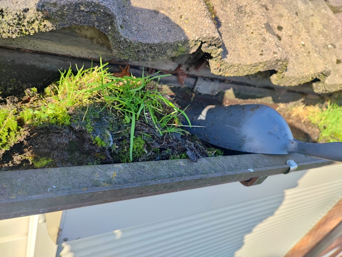 Dakgoot schoonmaken? | Birdstopzonnepaneel