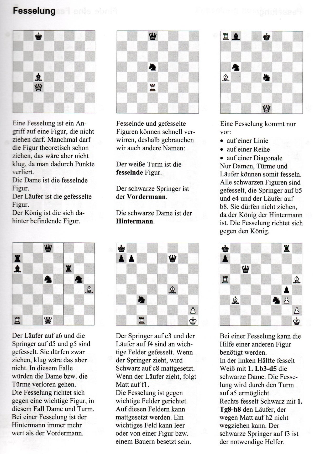 Grundlagen - Fesselung / 06.06.2023 / Lerninhalte 2022/2023 | AFG-Schach