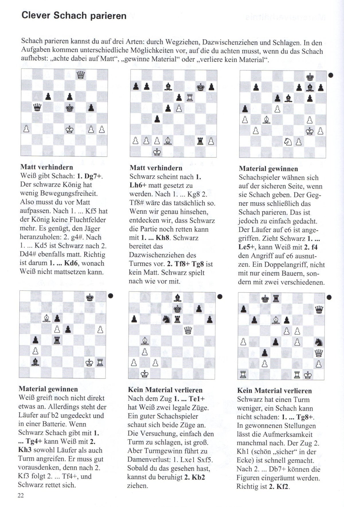 Clever Schach parieren / 21./28.11. 2023 / Lerninhalte 2023/2024 | AFG ...