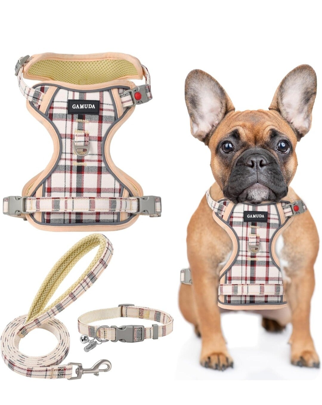 10 Hilarious Signs Your French Bulldog Is Completely Obsessed With You ...