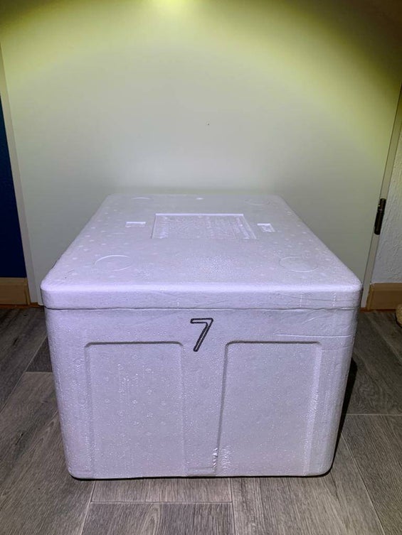 Tempex isolatiebox met deksel 50 x 32 x 40 cm 65 liter | ShrimpMania