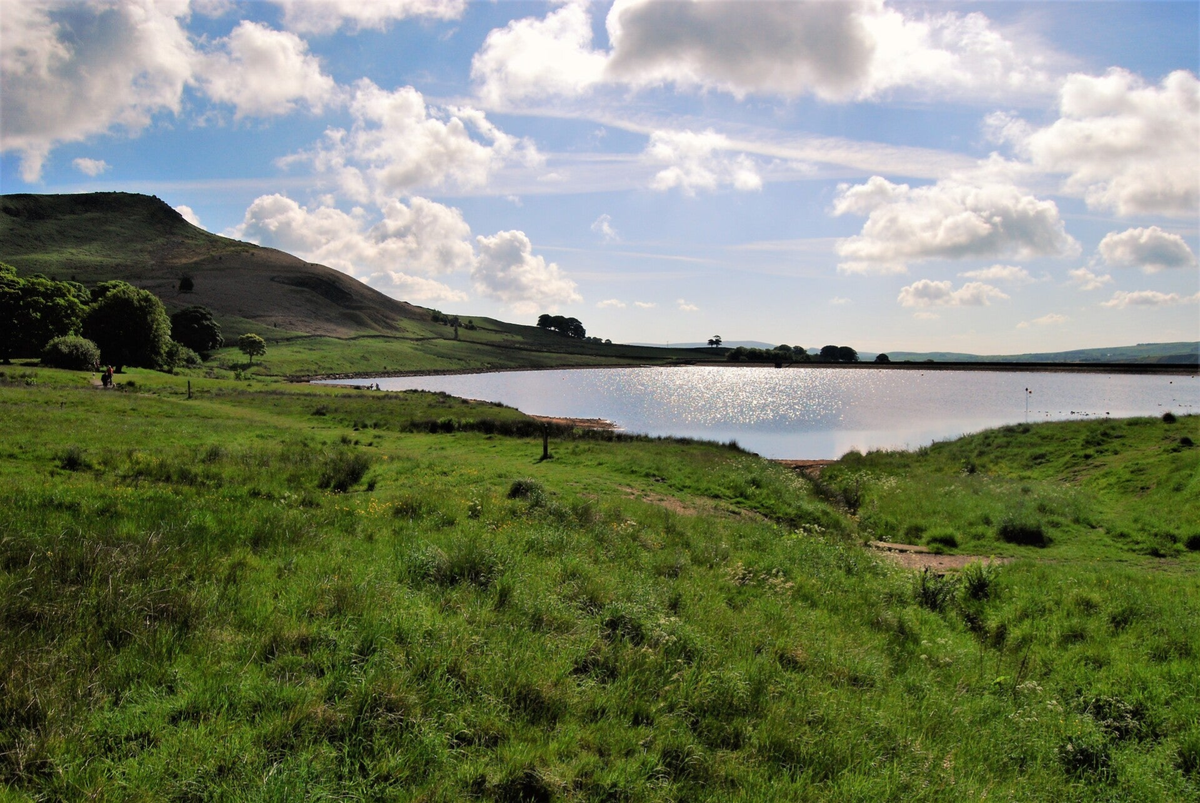 Fish Returns | Skipton Angling Association