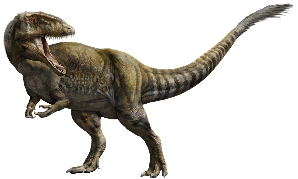 Carcharodontosaurus | DiNoah