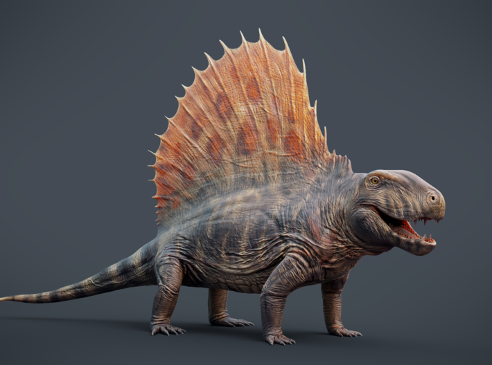 Dimetrodon | DiNoah