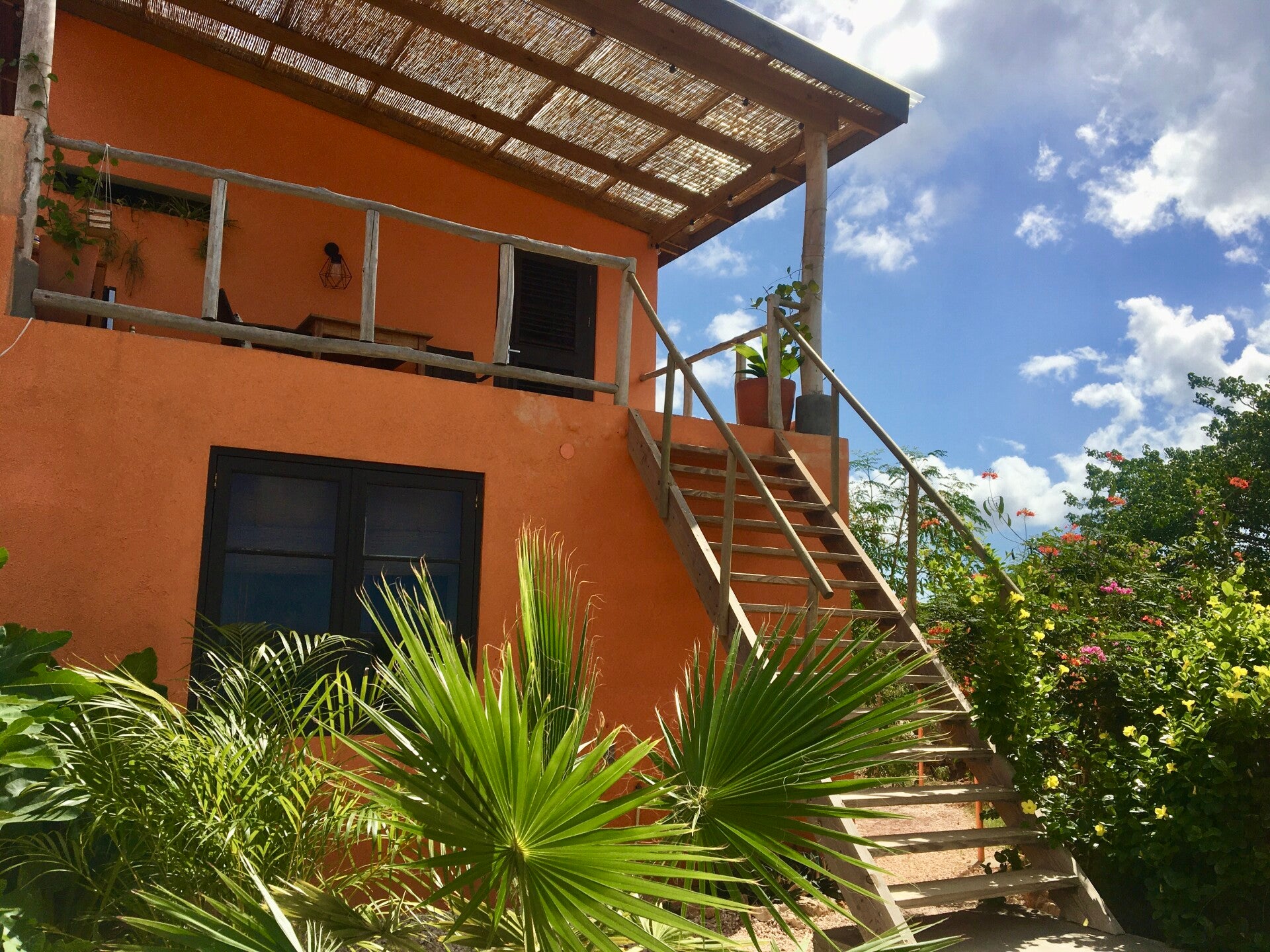 De Octopus Tropical Oasis Eco apartments Curaçao Boka St Michiel Near ...