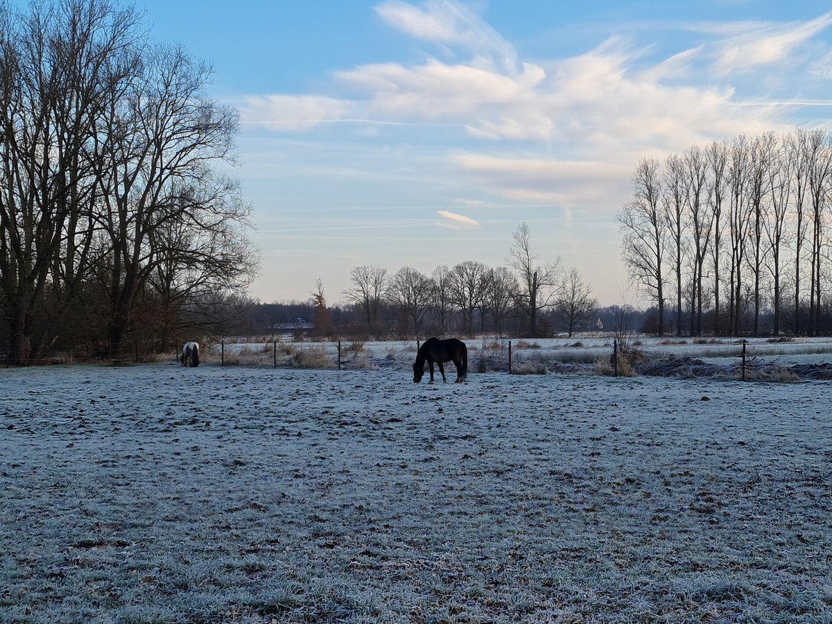 Missie en visie | Zintass