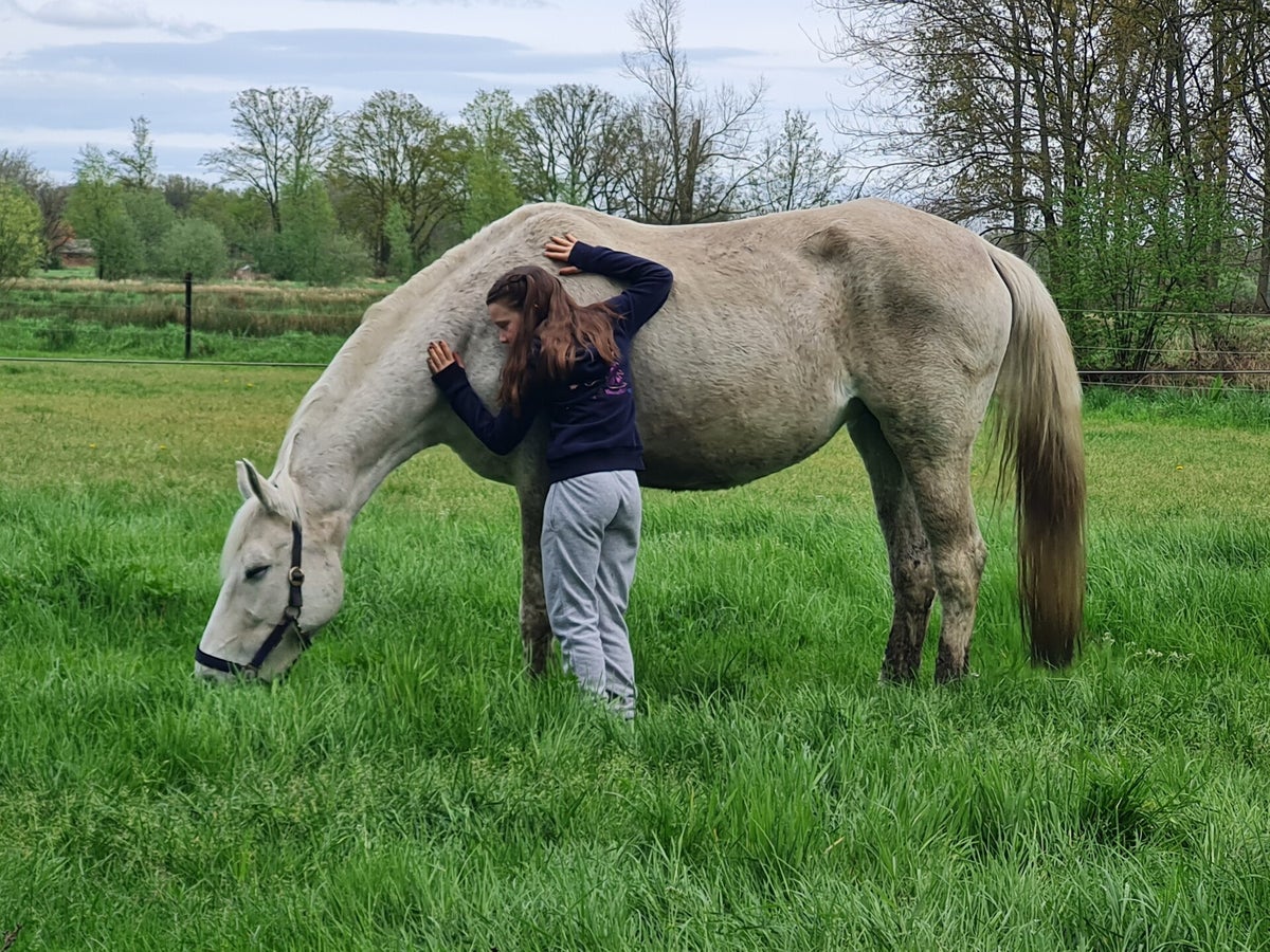 Coaching met paarden / Missie en visie | Zintass
