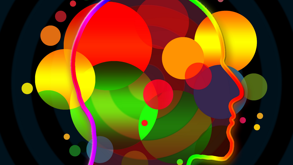 3 daagse vorming sensorisch profiel / Vormingen en webinars | Zintass