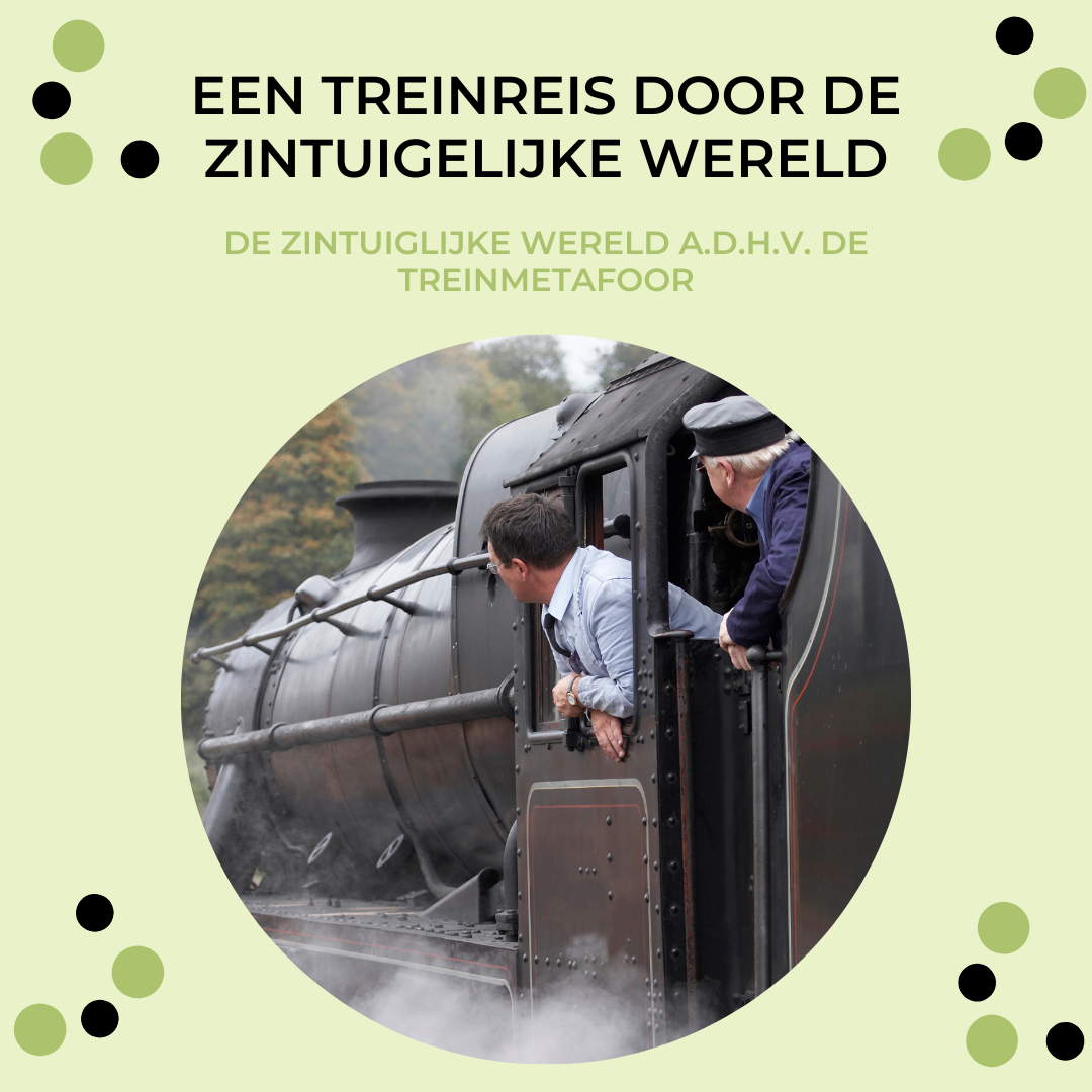 Vormingen en webinars | Zintass