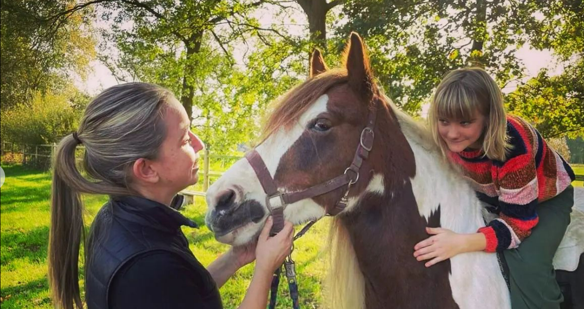 Coaching met paarden / Werking | Zintass