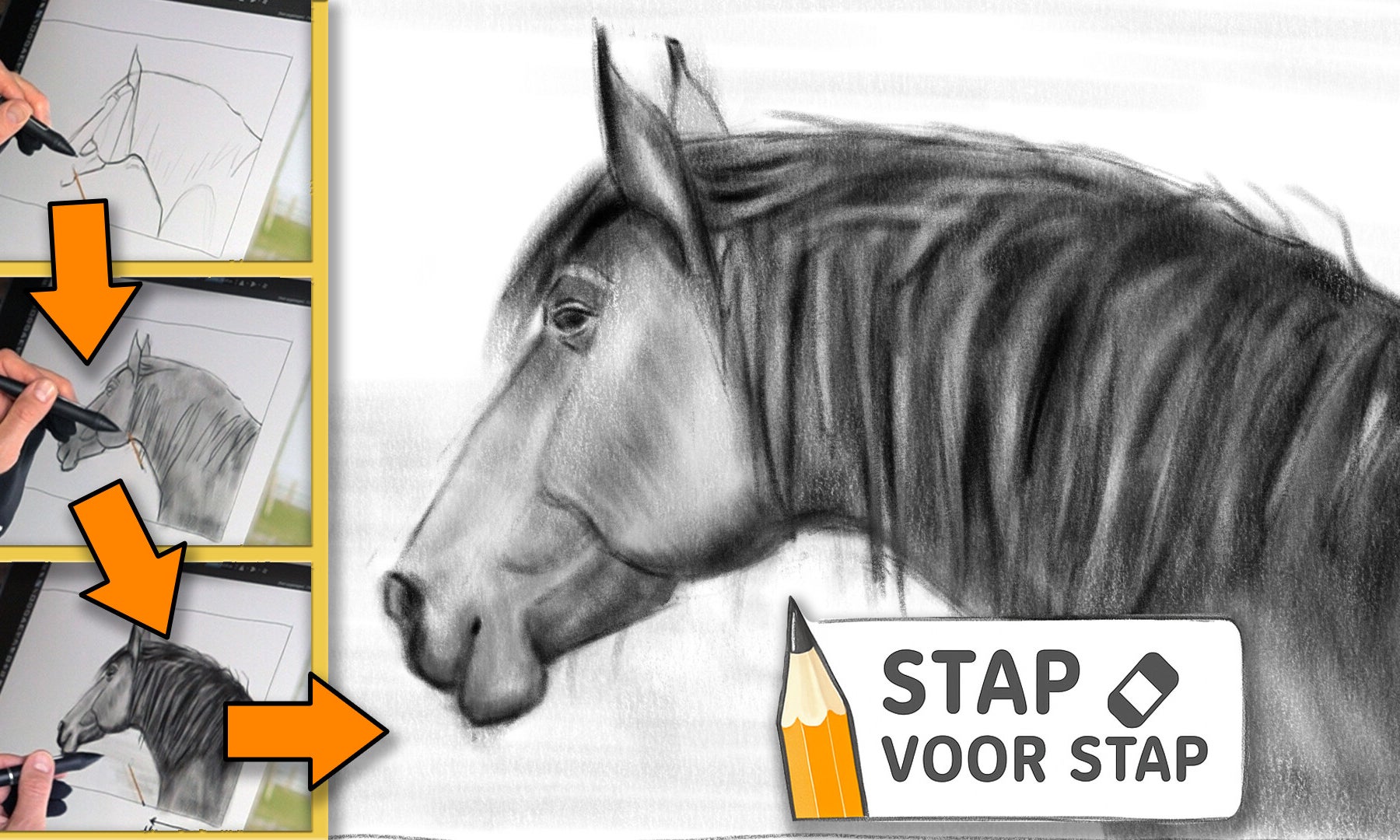 Dieren tekenen / Petje Af | Toon Nagtegaal