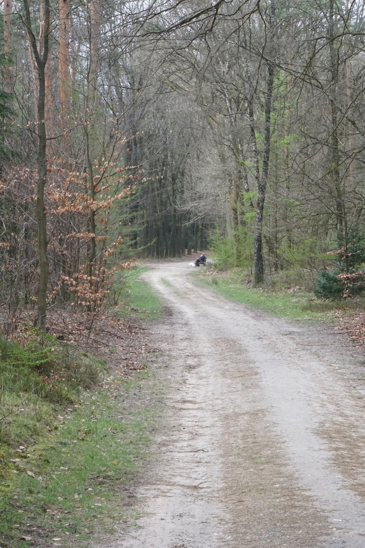 Sysseltsrondje / De Sysselt / Natuurgebieden in de gemeente Ede / Nat ...