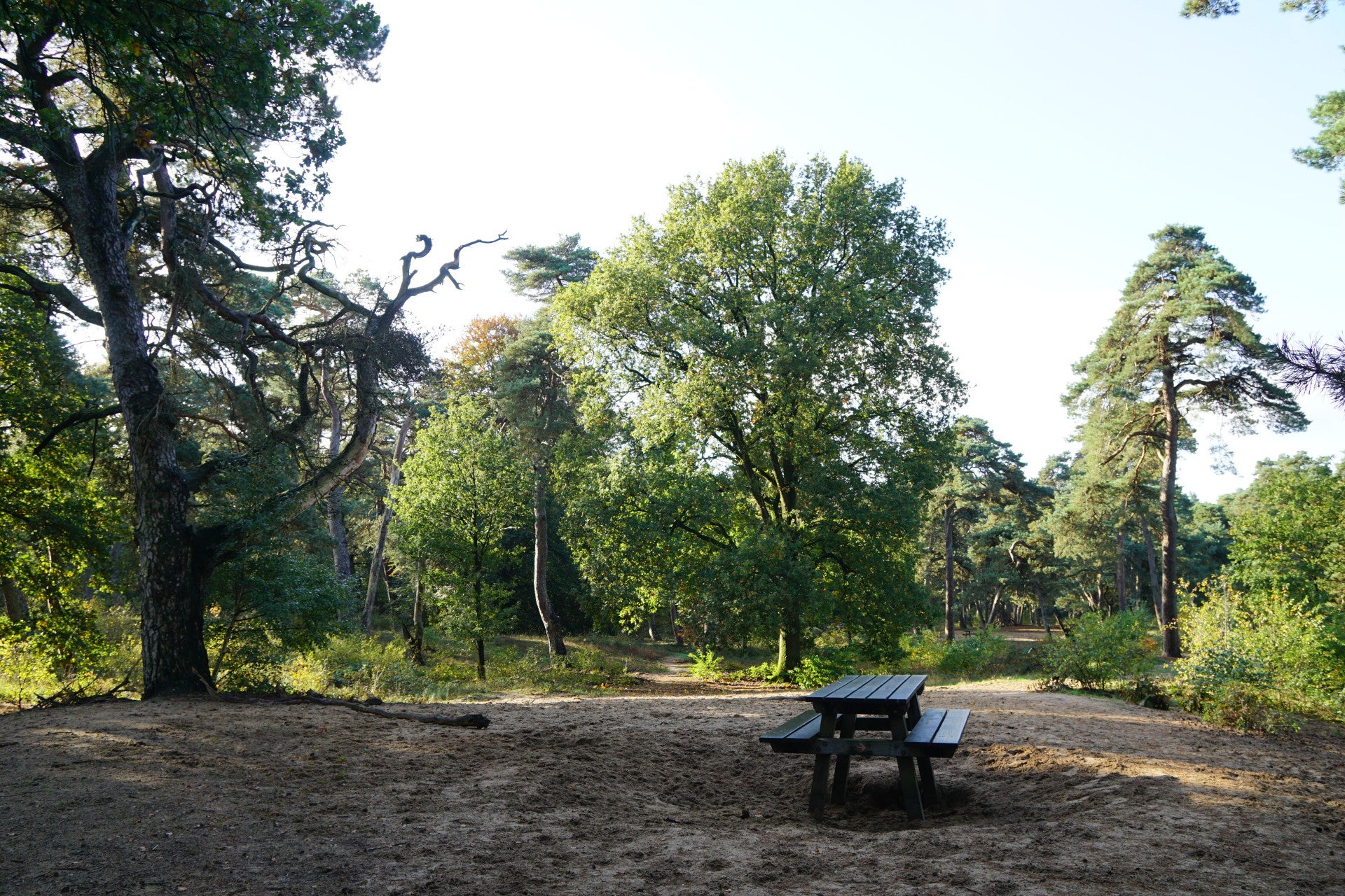 Sysseltsrondje / De Sysselt / Natuurgebieden in de gemeente Ede / Nat ...