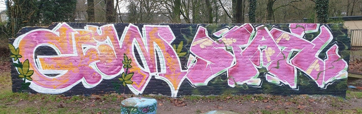 Graffiti muur Wesselerbrinkpark Enschede Zuid