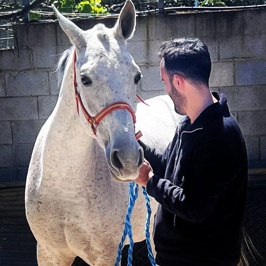 TRENZADOS ESTEBAN BARRERA