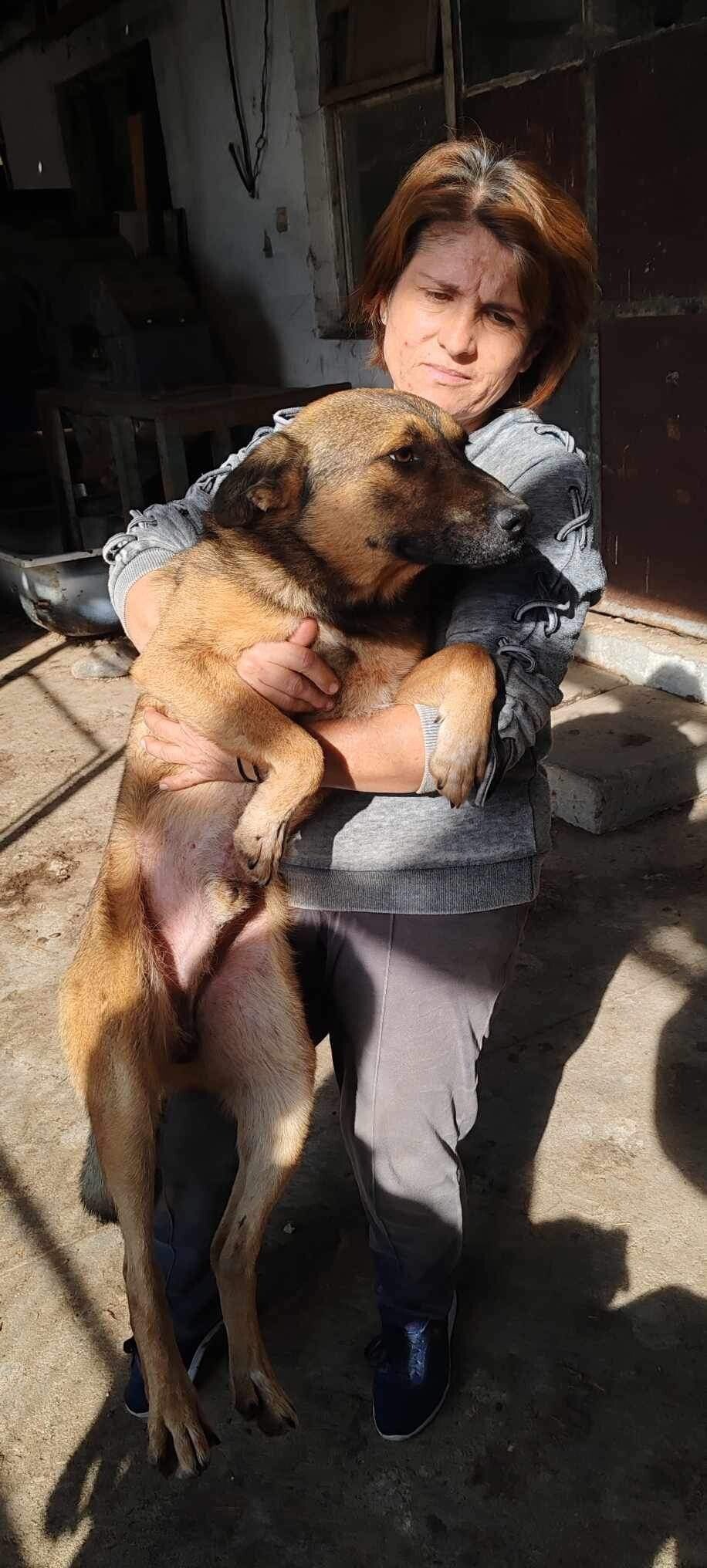 SCOUBIDOU | Association Happy Dogs Forever (HDF)