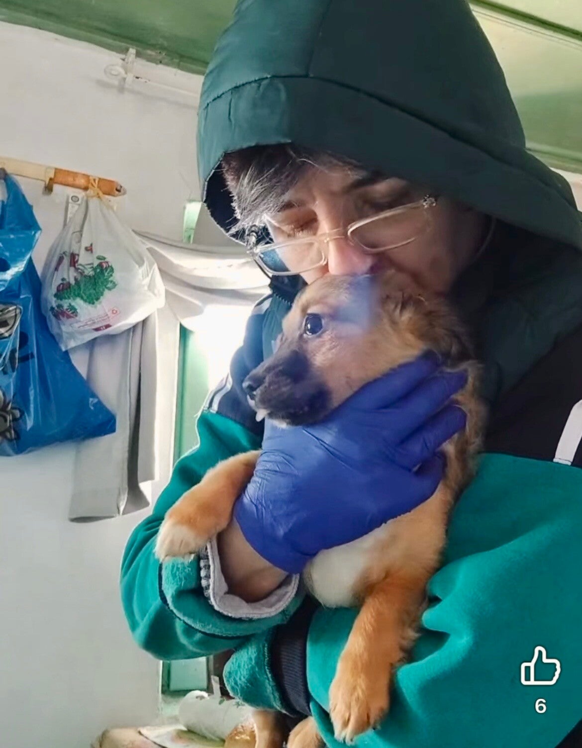 PIPO | Association Happy Dogs Forever (HDF)