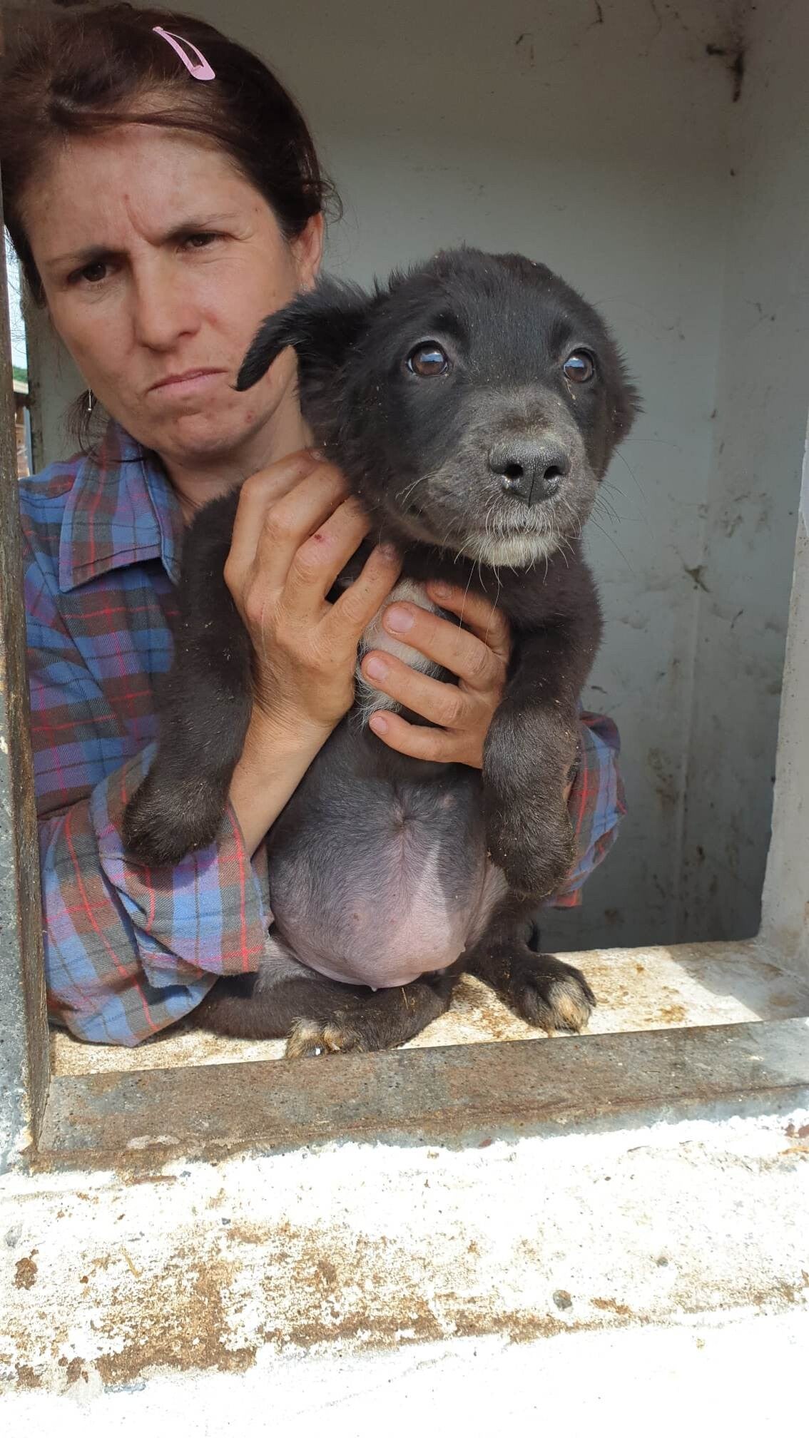 HOSHI | Association Happy Dogs Forever (HDF)