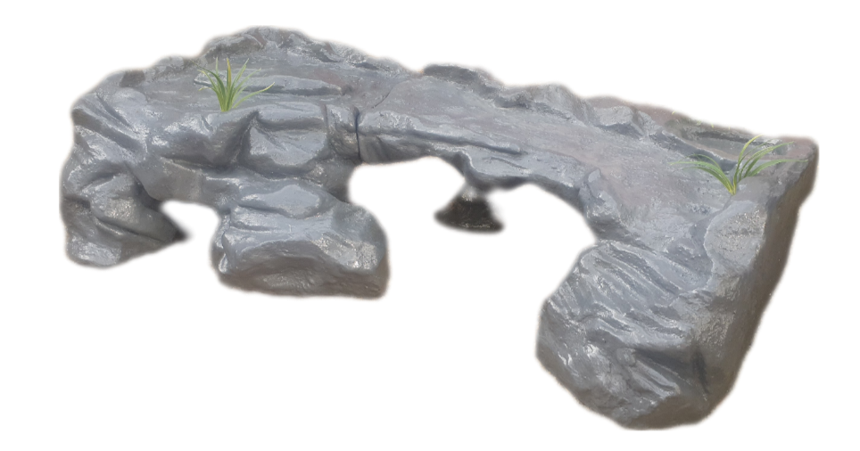 Home exotic reptile backgrounds