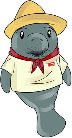 Cobachito / Complementos | COBATAB#53