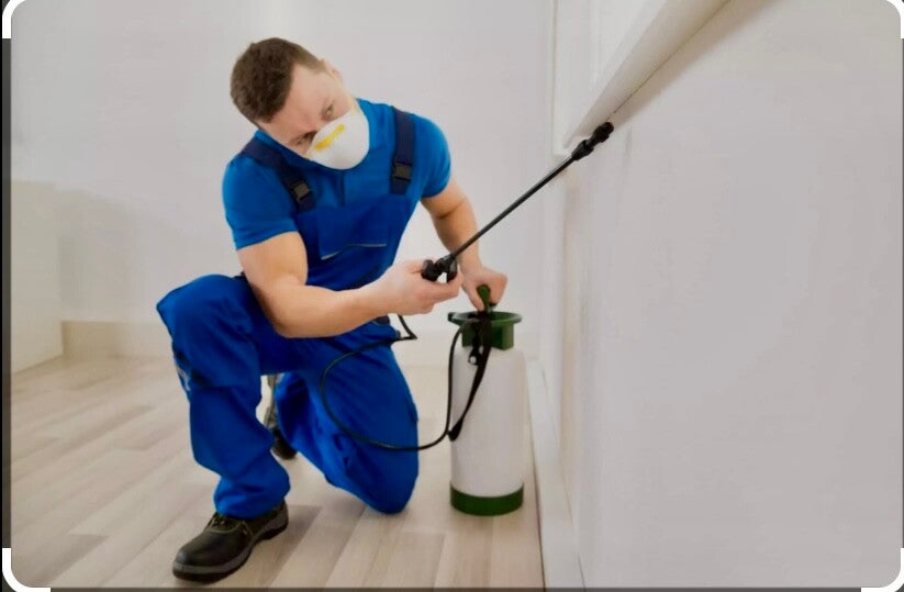 Our Services Advantage Termite Pest Control