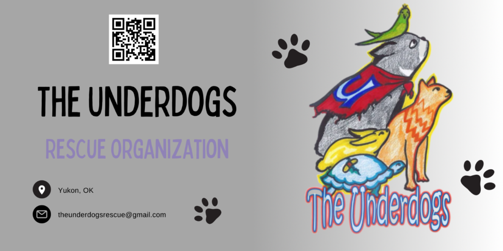 The Underdogs Rescue