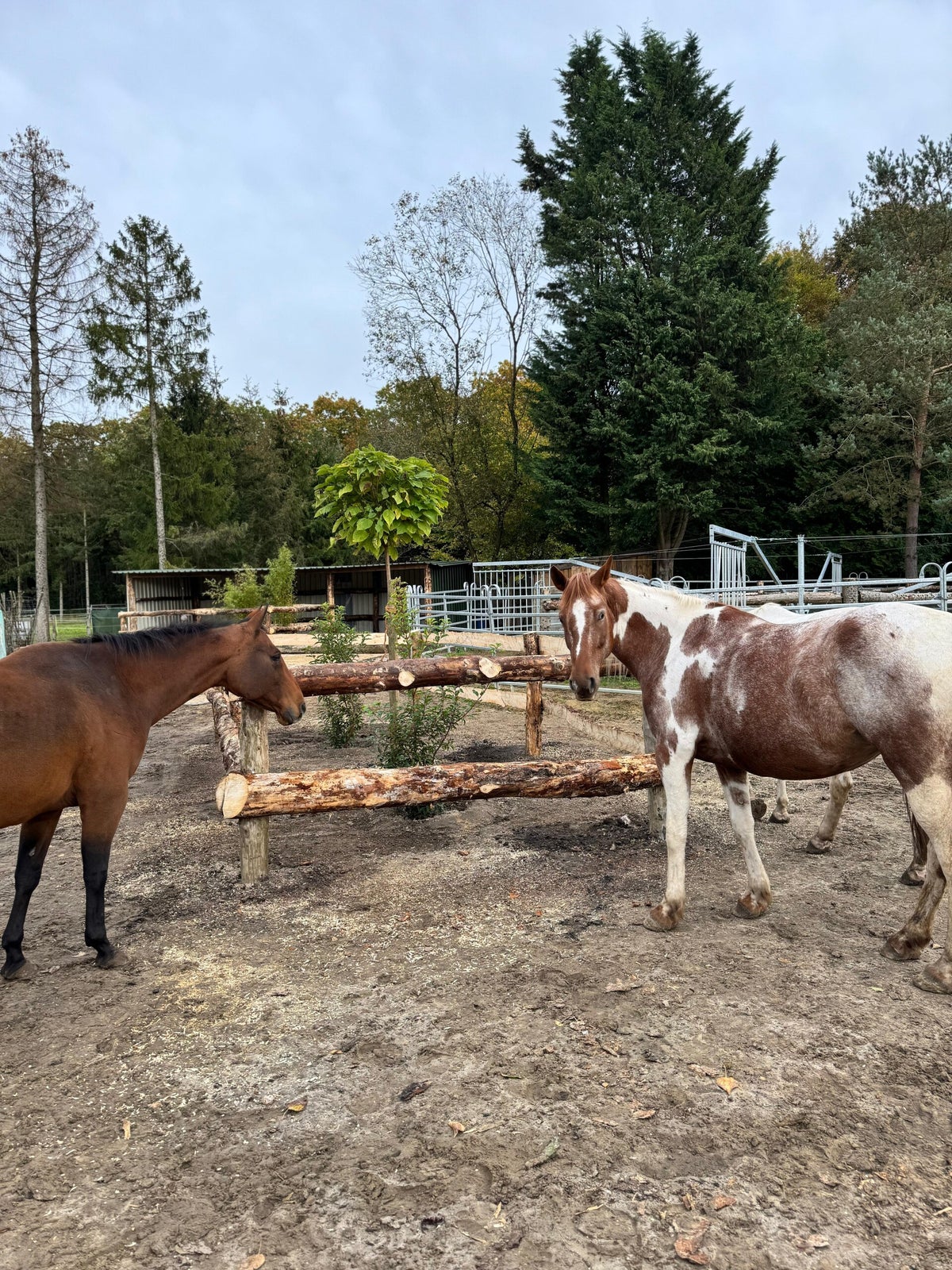 Kontakt | Hill & Valley Ranch