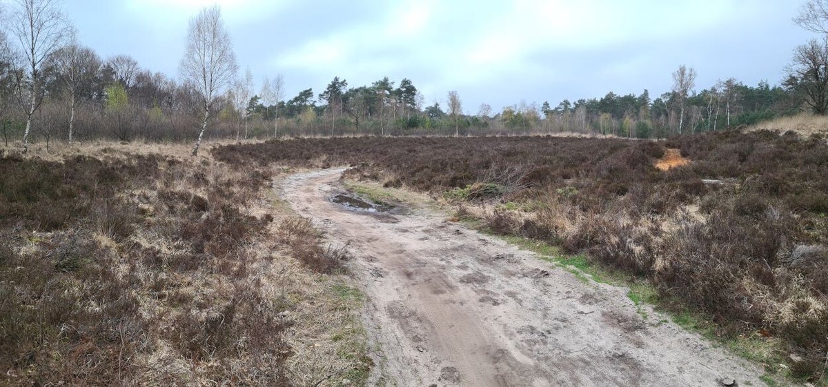 Renkums Beekdal / Wateren / Landschap / Mooi Ede | Atlas van Ede