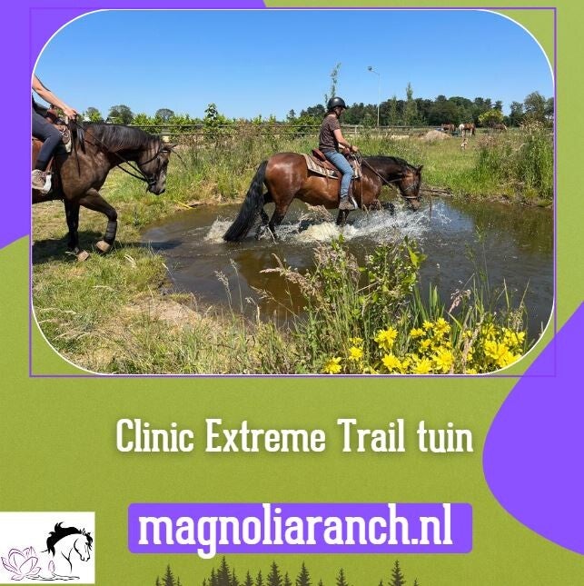 Data Clinics trail tuin | Magnolia Ranch