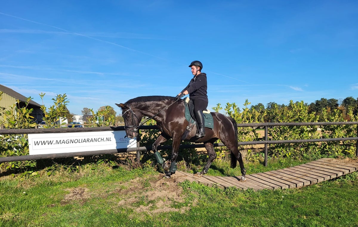 Trailtuin | Magnolia Ranch