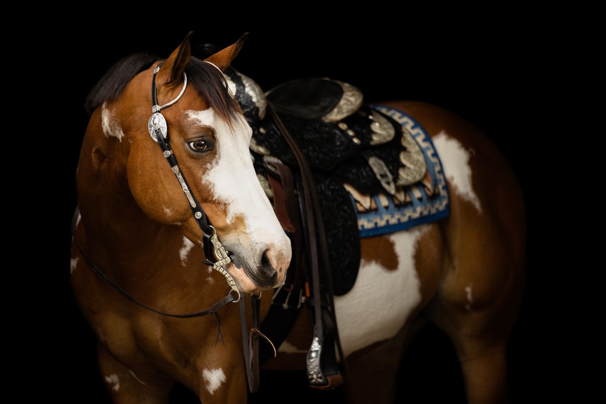 The Ranch | Magnolia Ranch