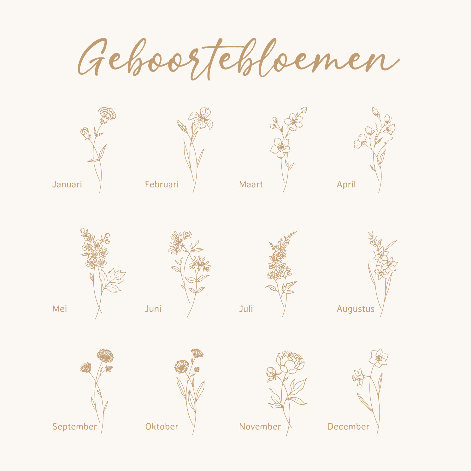 Geboortekist | Baby | Memorybox met geboortebloem