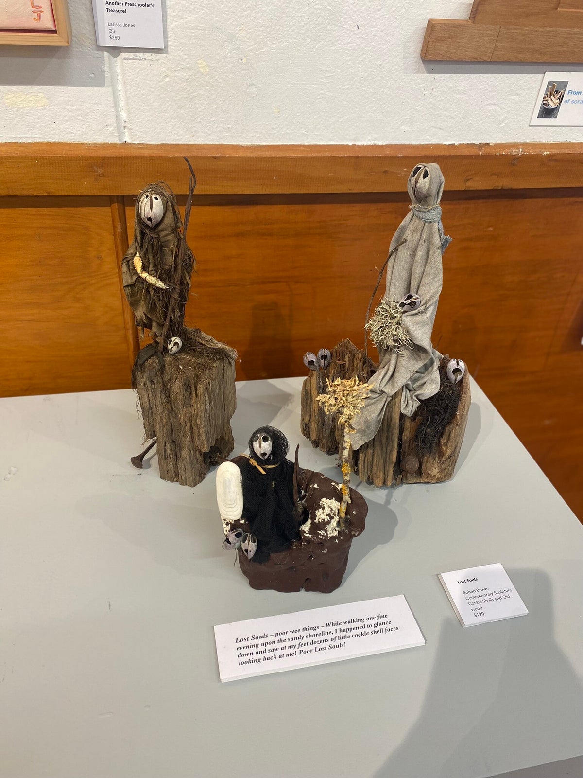 OpenArts Inc. Otago Peninsula Artists