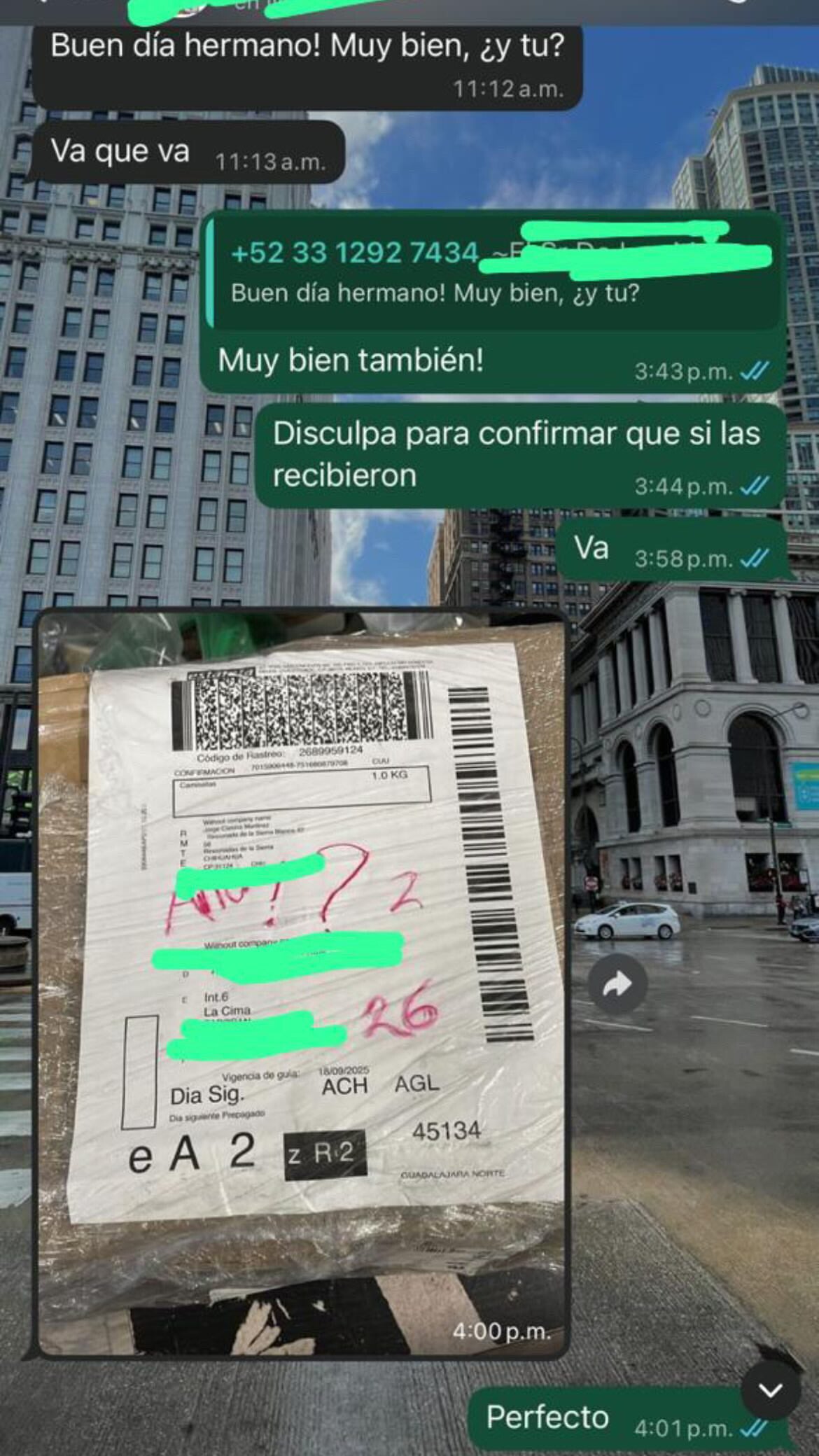 JM playeras Originales