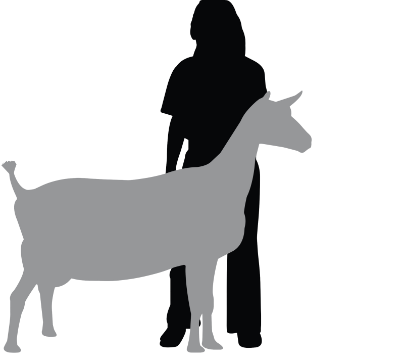 Shows & Events | Florida Dairy Goat Association