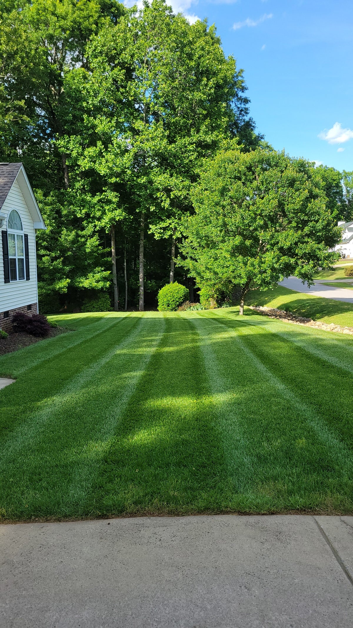Allamon’s Landscapes and Property management