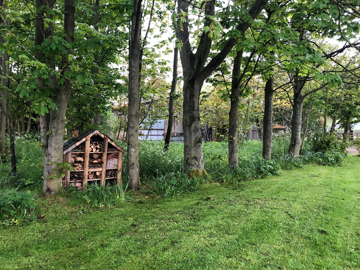 Gallery | Pasture Farm CL Site