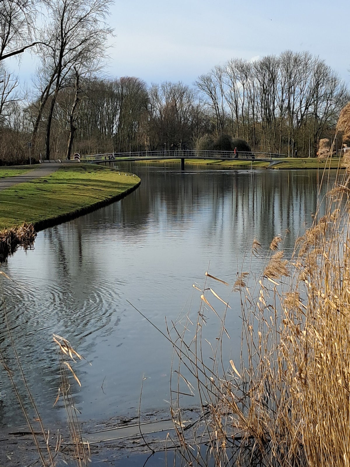 Zuiderpark Rotterdam | wandelcoach Rob