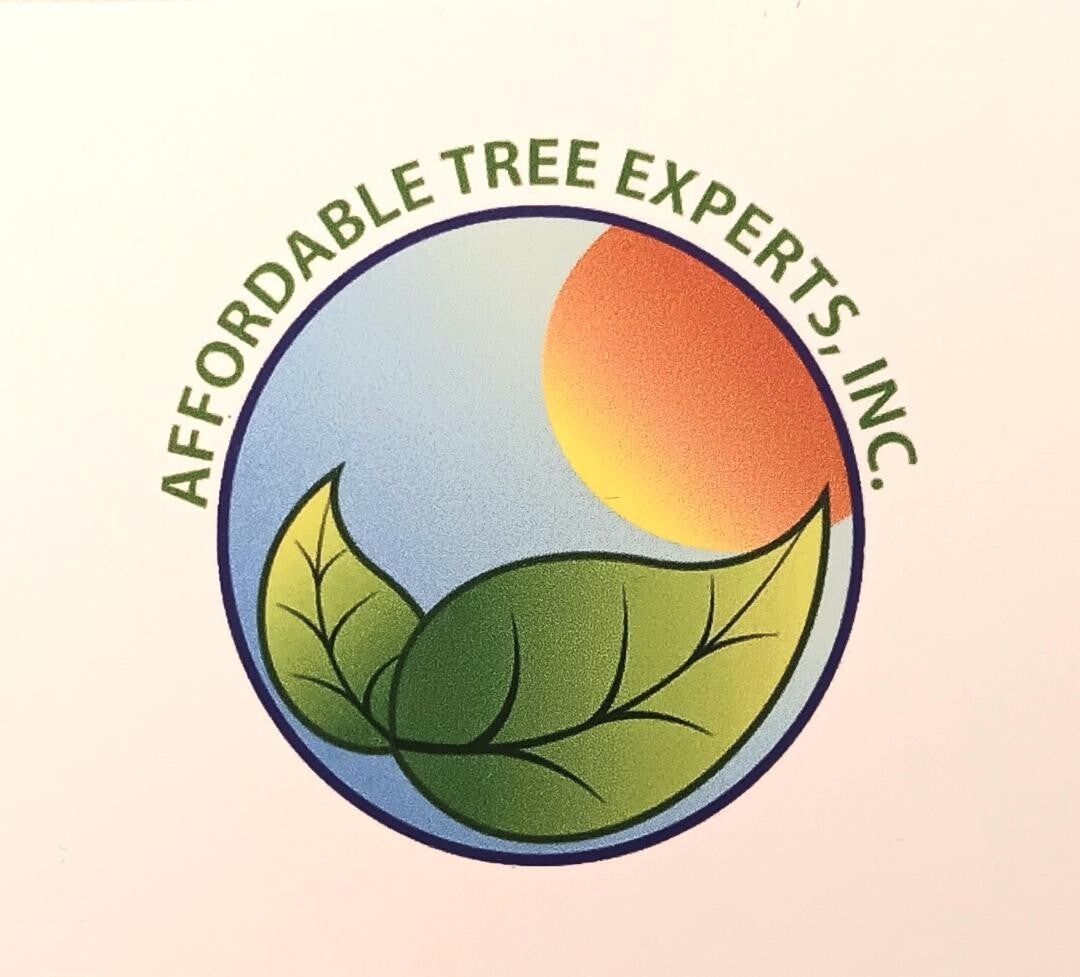 AFFORDABLE TREE EXPERTS