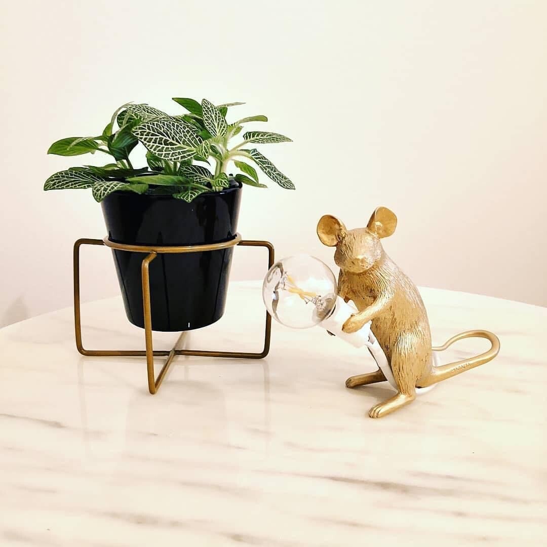 HOME & LIVING | ROMEO VETRO