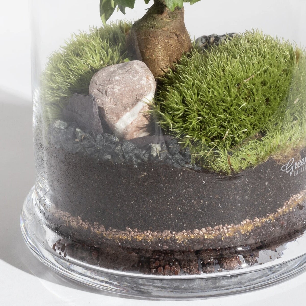 Terrarium DOME | ROMEO VETRO