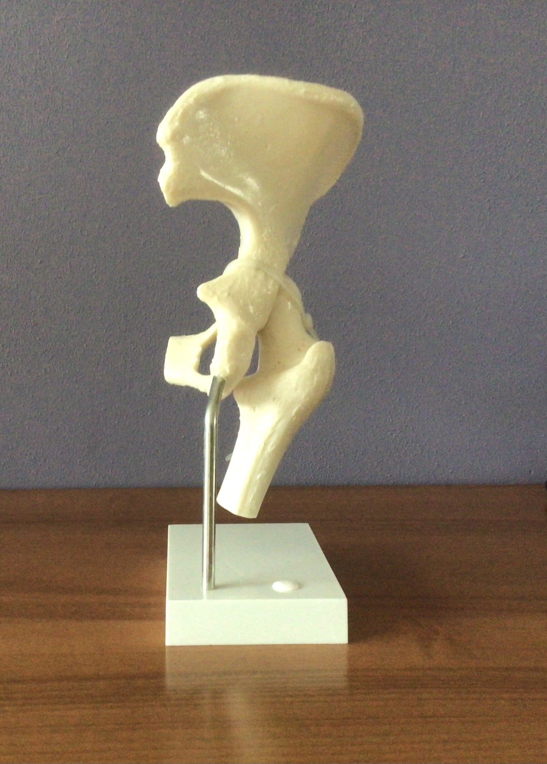 Medische en anatomische schoolkaarten en schoolplaten