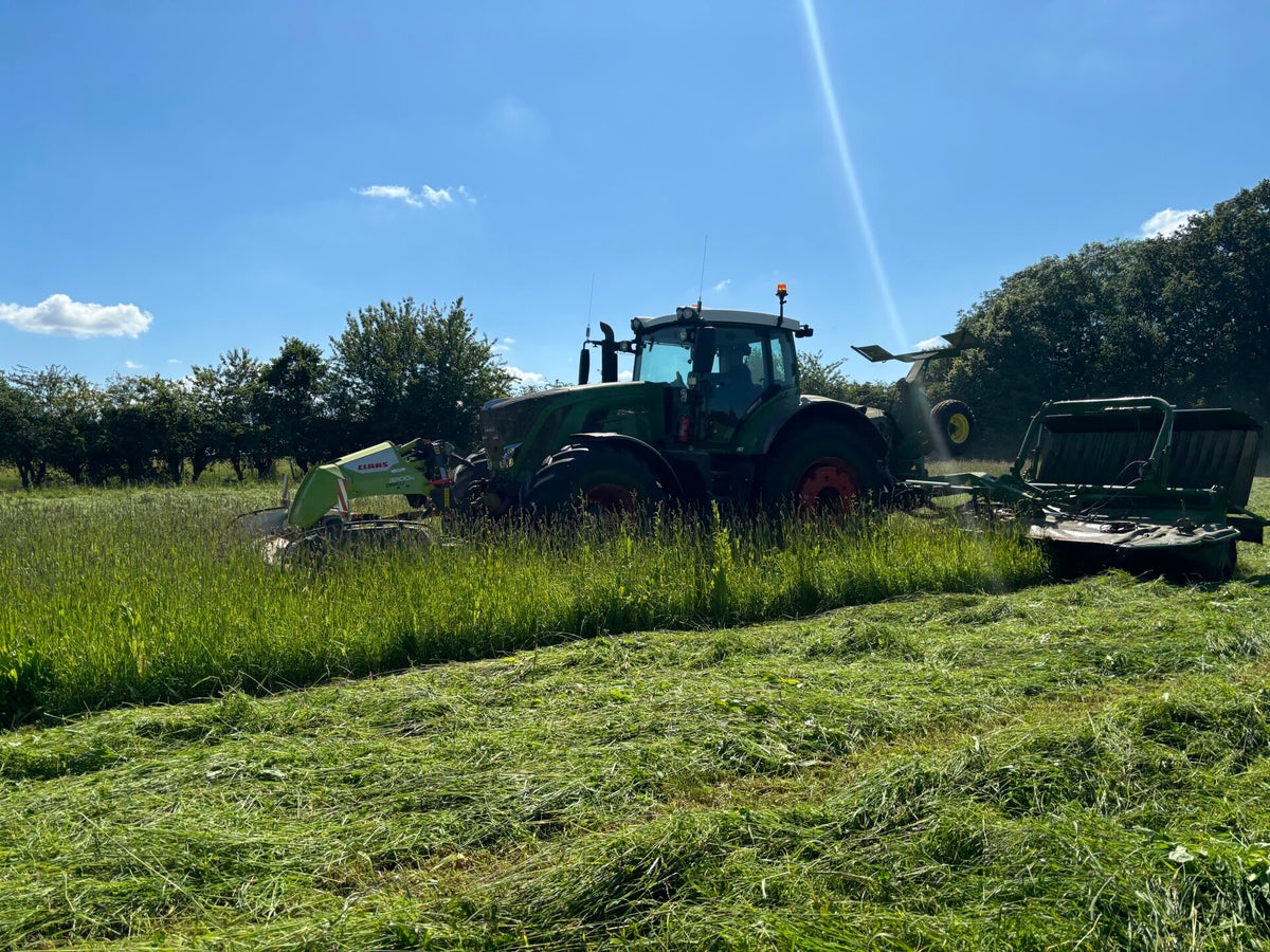 Gallery | Spring Farm Partnership