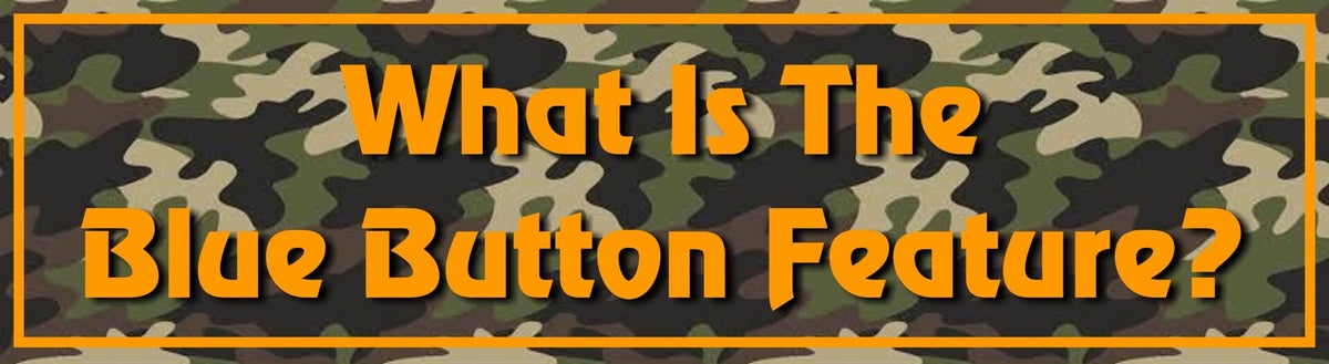 My HealtheVet Blue Button Feature / My HealtheVet / Veterans' Health ...