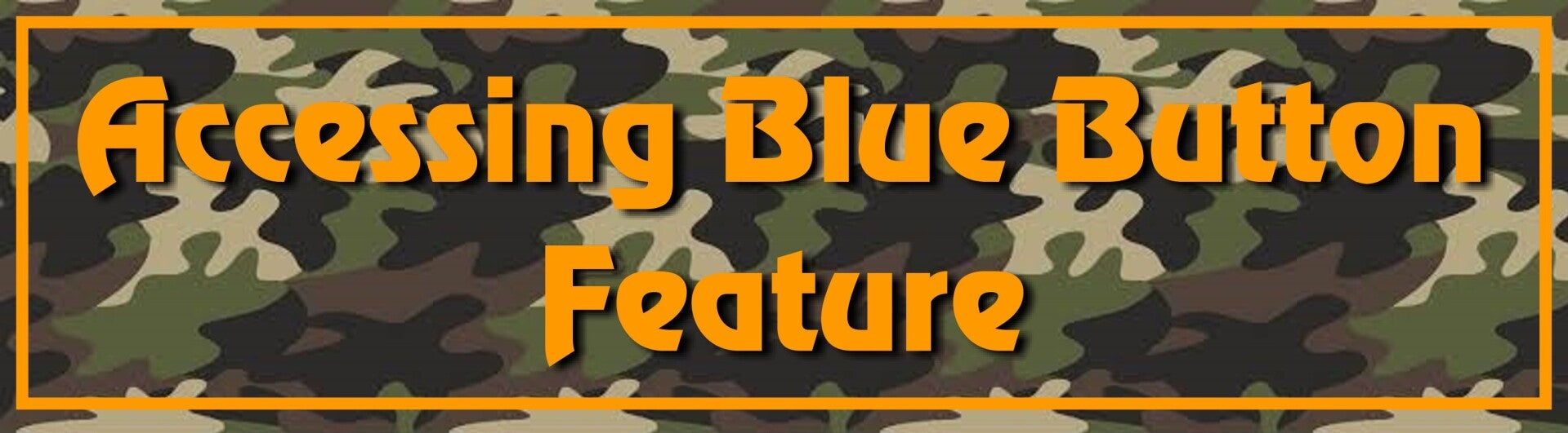 My HealtheVet Blue Button Feature / My HealtheVet / Veterans' Health ...