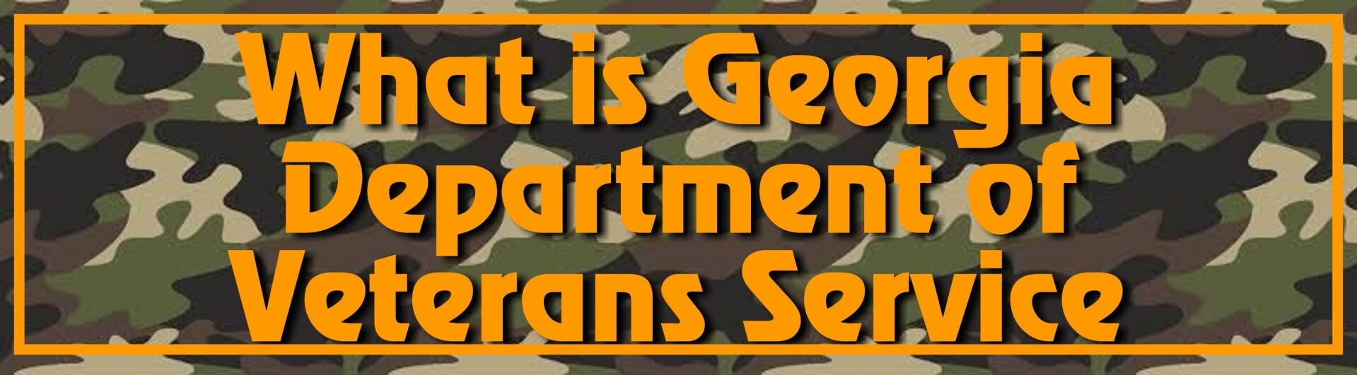 Georgia Department of Veterans' Service / State Departments of Veterans ...