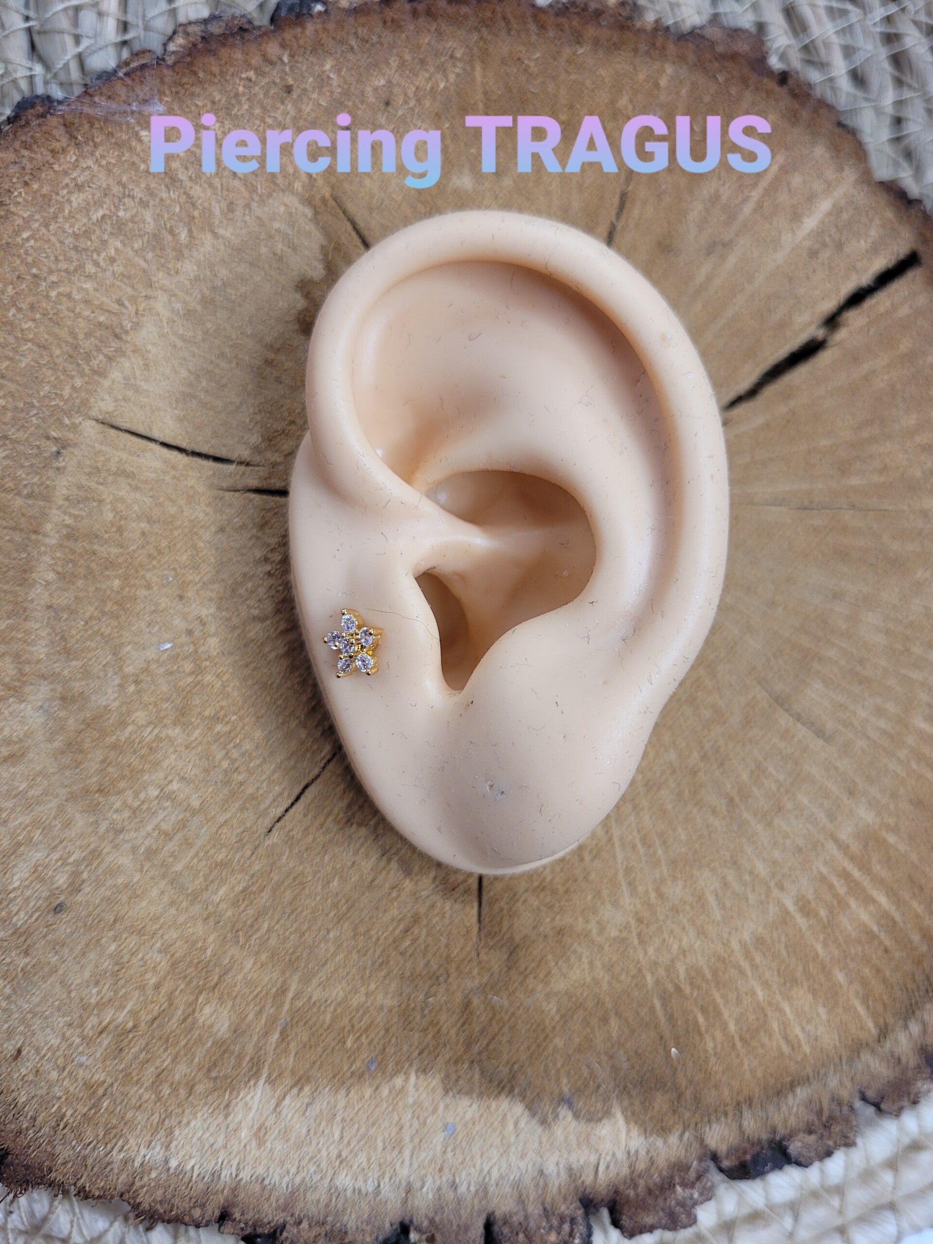 PIERCINGS Oreille TRAGUS | Les pépites d'Angel