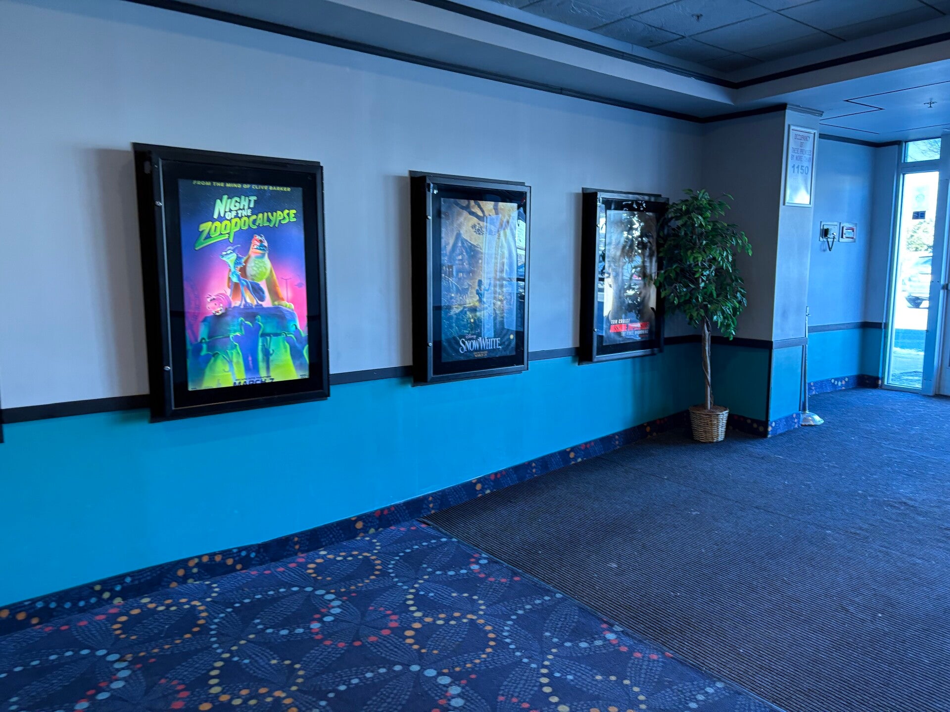 Business of the Week! | Positive Transitions to Work